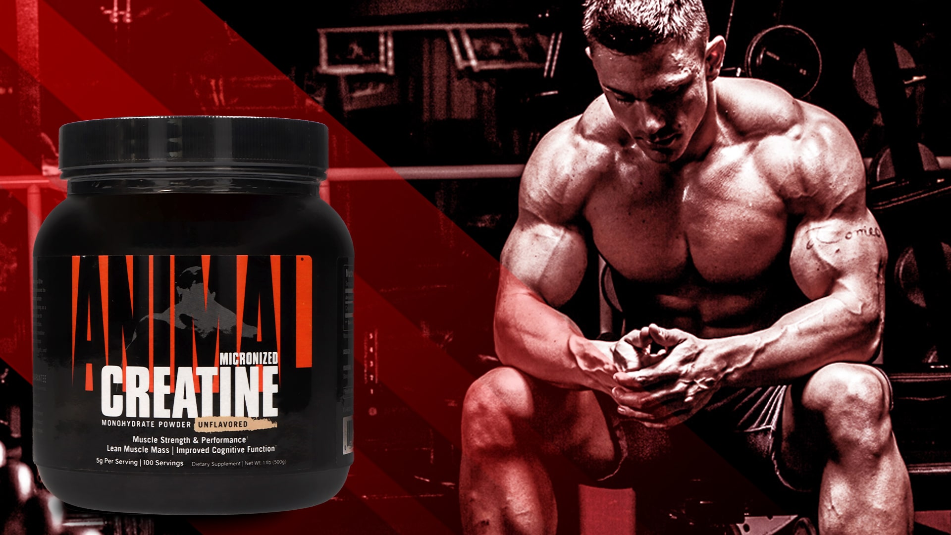 ⚡ Creatine Micronized Animal - 500g - UNIVERSAL - Cena, dawkowanie ...