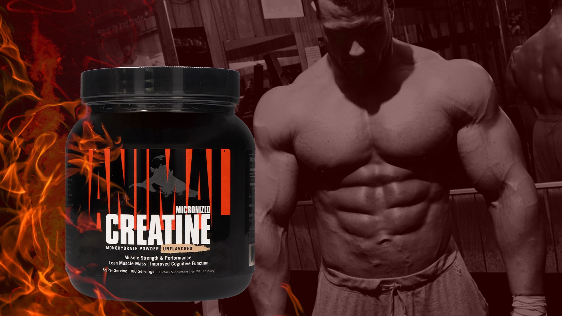 ⚡ Creatine Micronized Animal - 500g - UNIVERSAL - Cena, dawkowanie ...